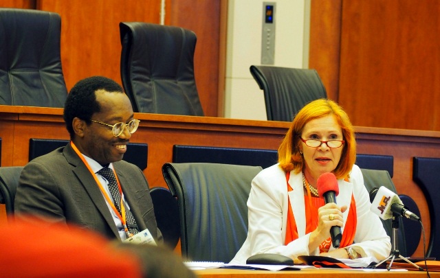 Finland Embassy in Nigeria, Nordic Africa Institute, hosts Policy ...