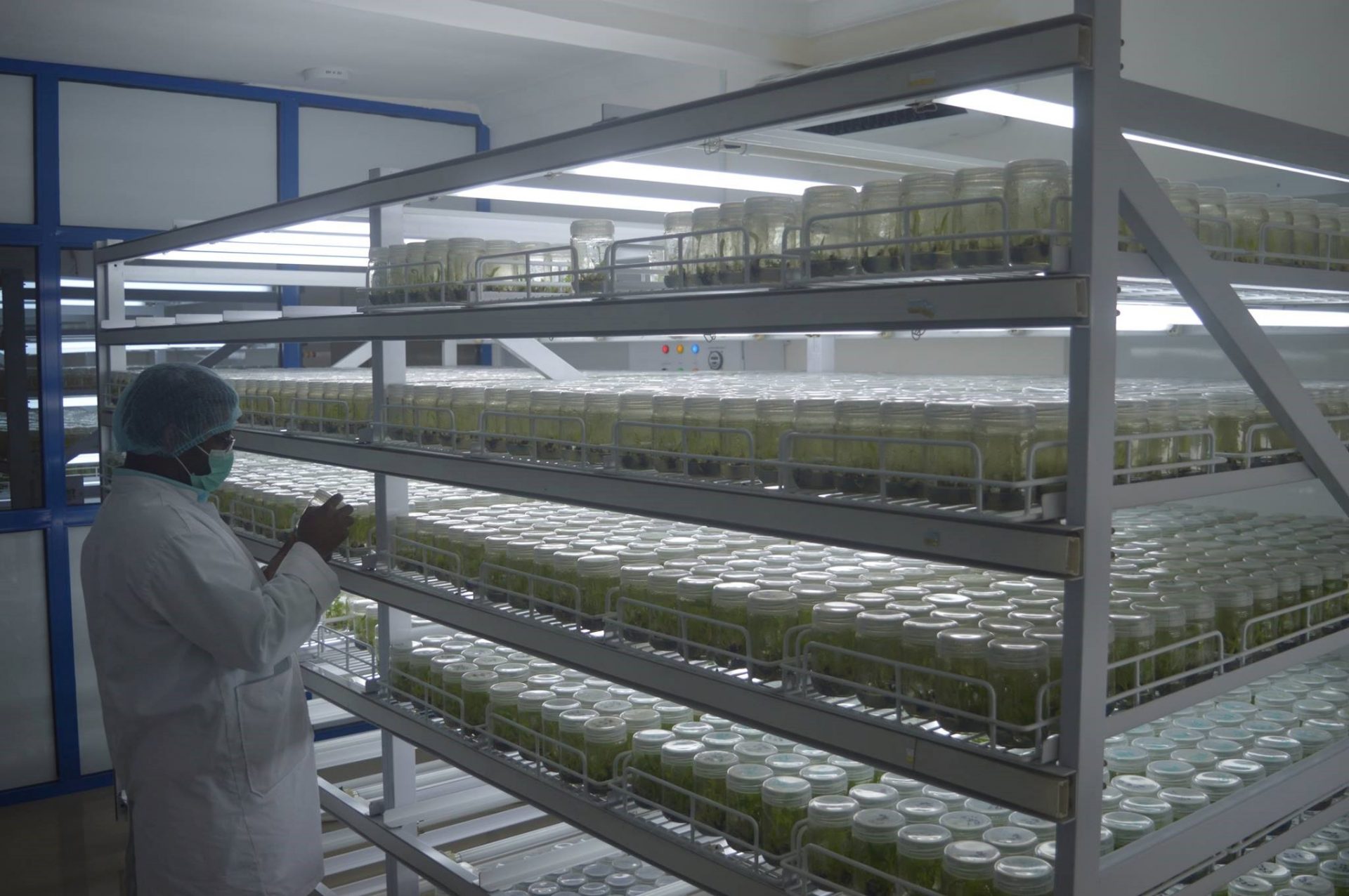 CONTEC GLOBAL: Pioneering Agrictech and Bio-Diversity for Inclusive ...