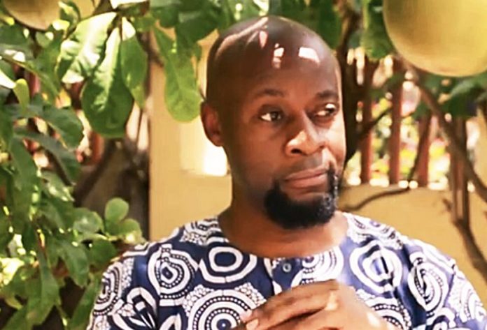 An African Disney Is Not Impossible –Adamu Waziri - African Leadership ...