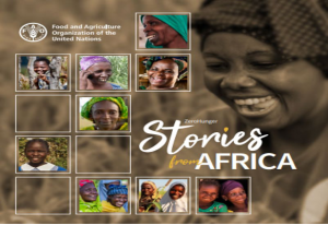 Emerging Success Stories For African Continent - African Leadership ...