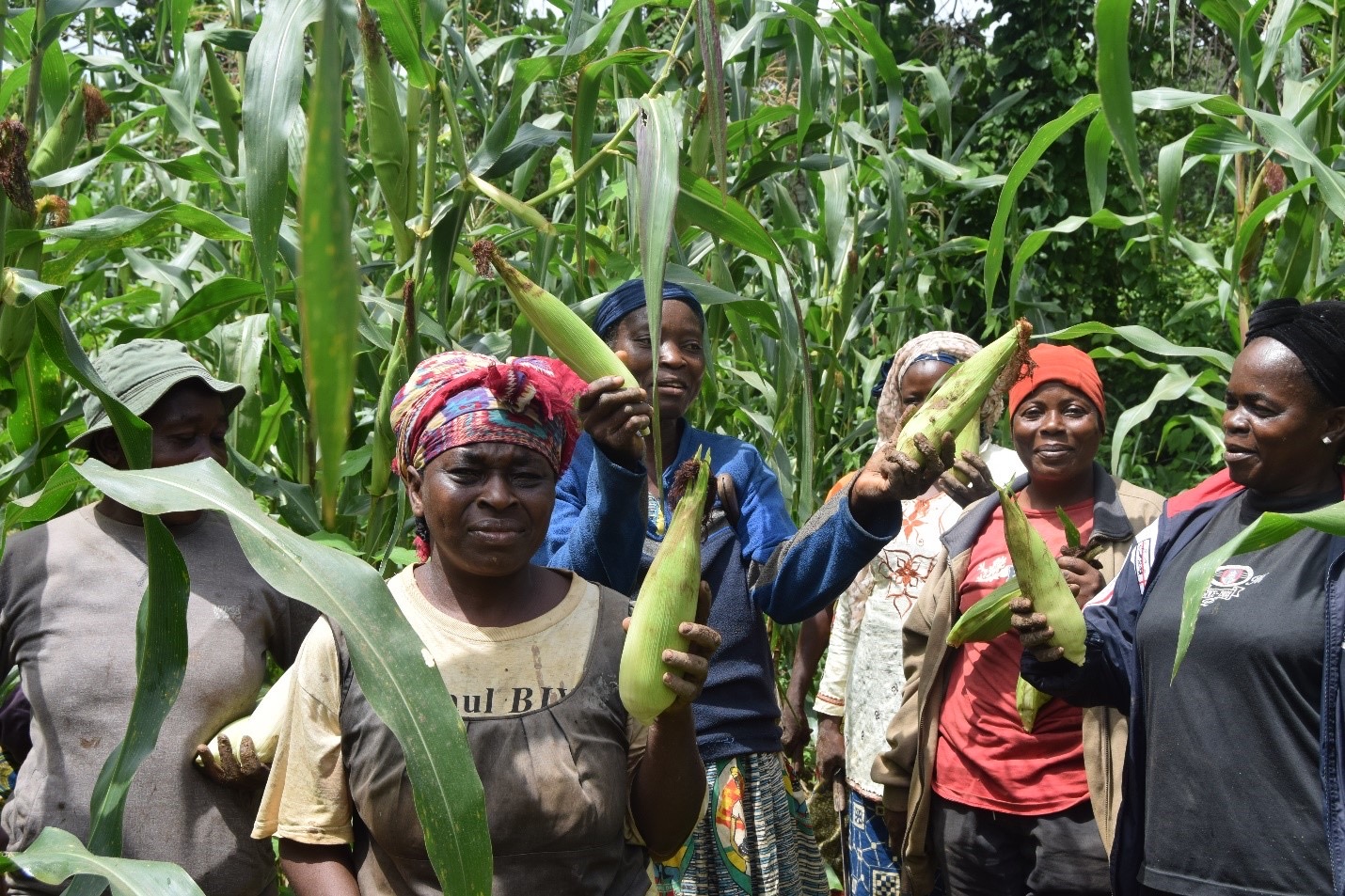 Celebrating African Women's Leadership on International Day of Rural ...