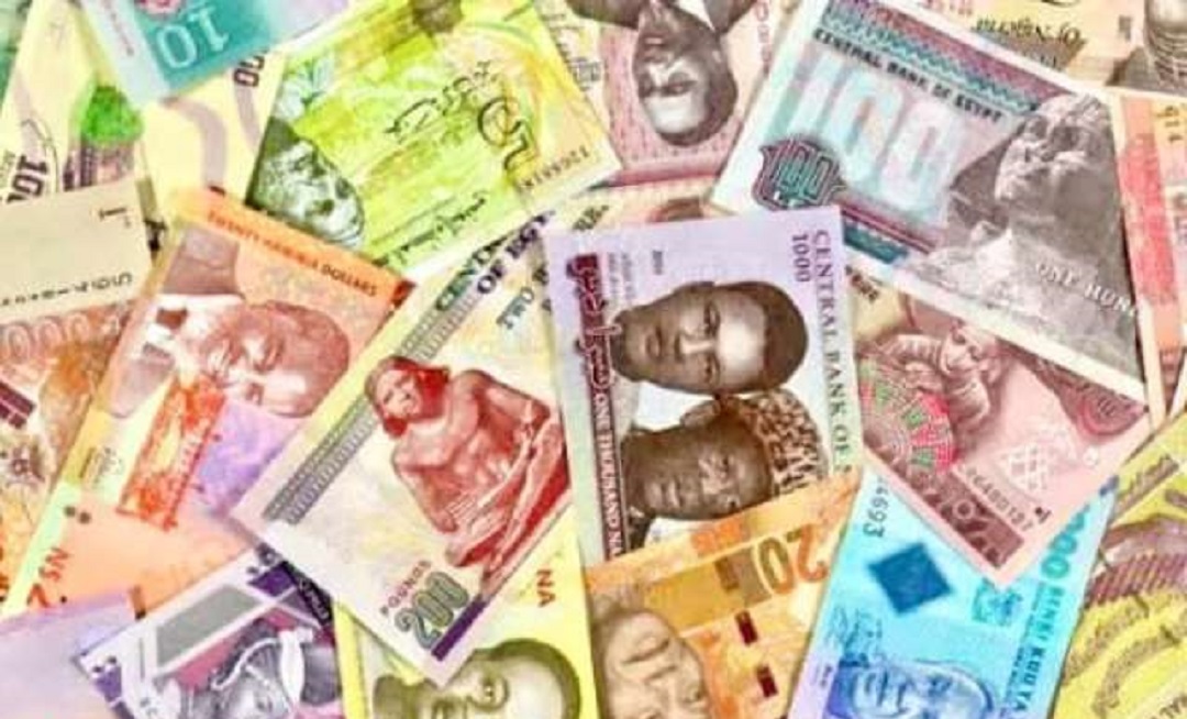 Currency Convergence: The Case For A Unified African Monetary System ...