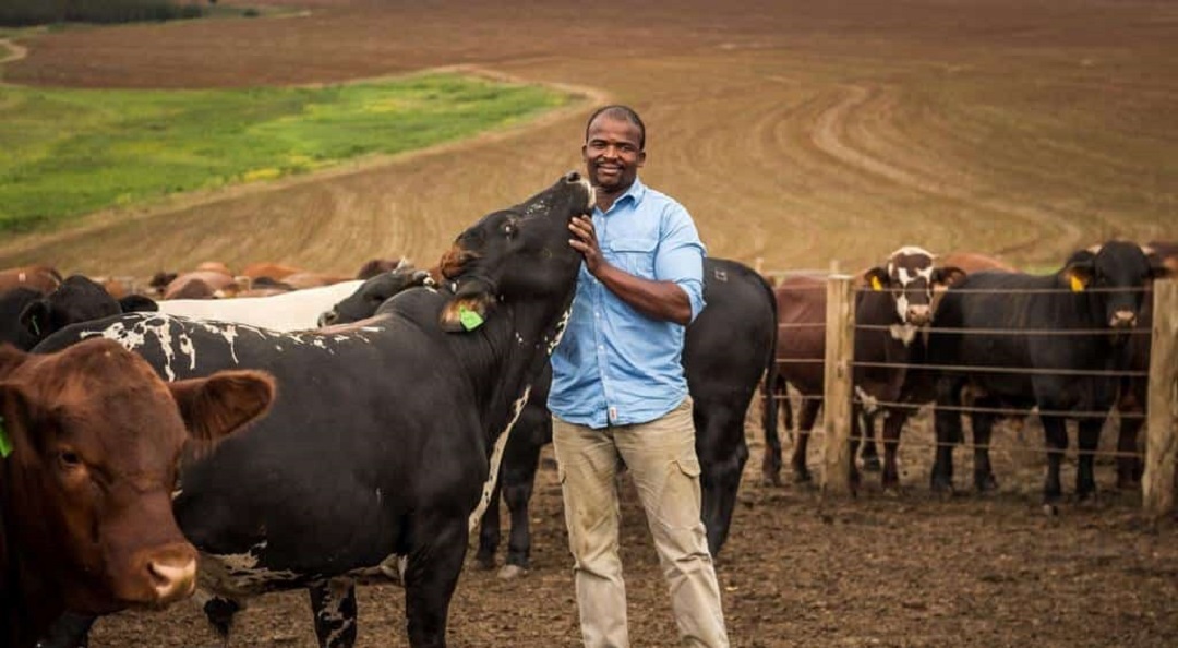 One Health In Africa: Linking People, Animals, Environment - African ...