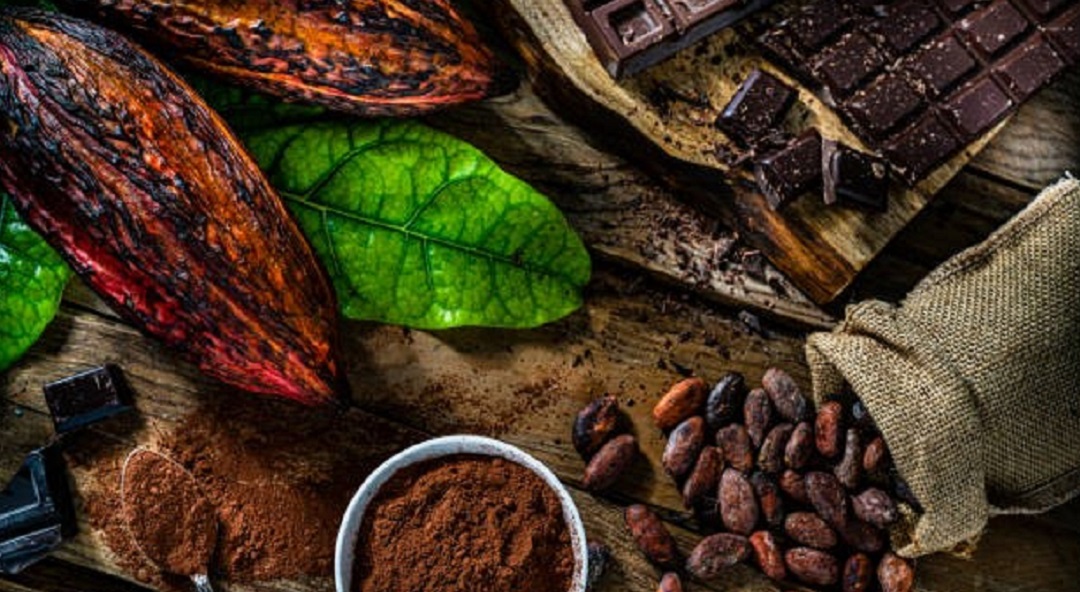 Reviving Africa's Cocoa Industry: From Local Farms To Global Markets ...