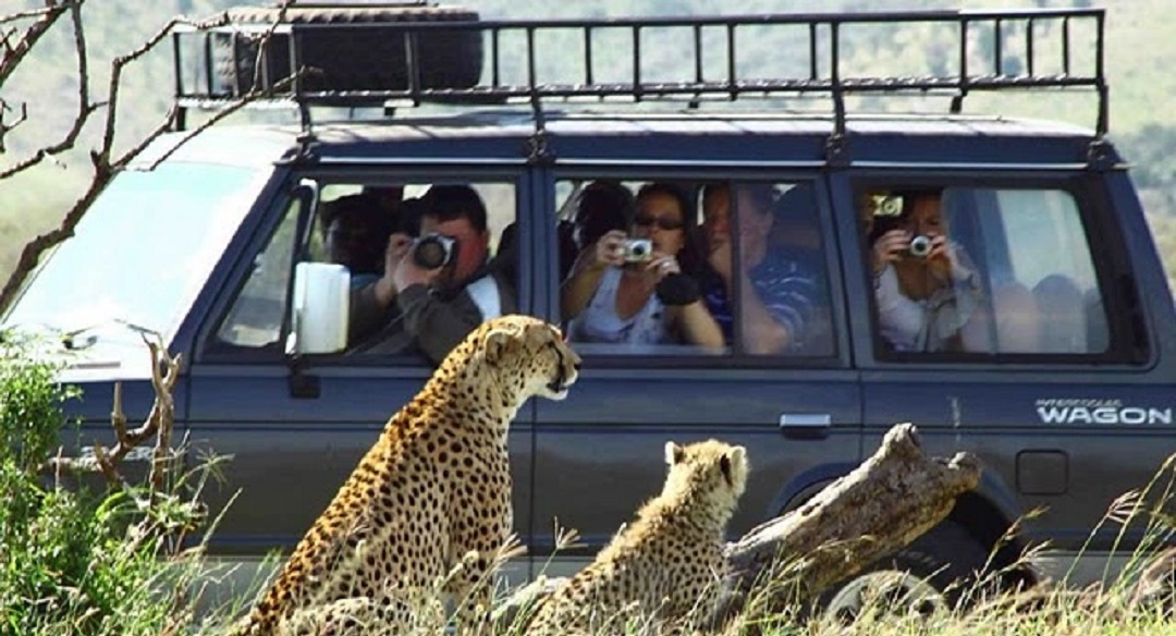 How Ecotourism Drives Botswana’s Economic Recovery - African Leadership ...