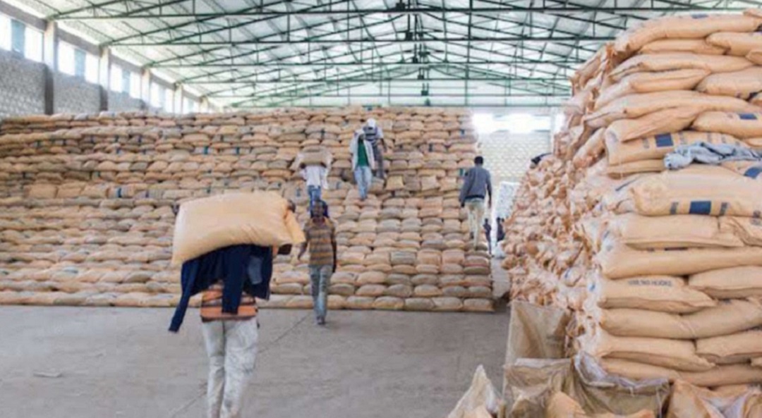 The Ups And Downs Of Cocoa Trading In Africa - African Leadership Magazine